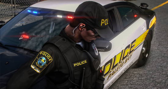 Paleto Bay Police Collection Package – Luca Designs
