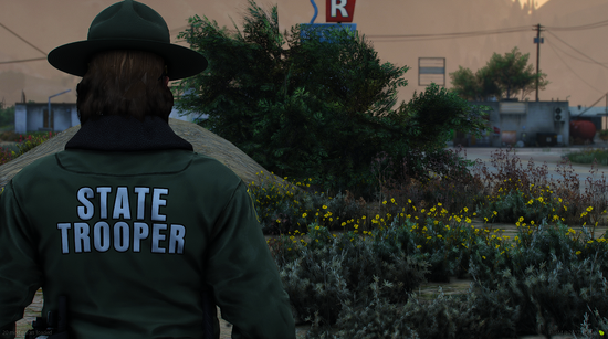 State Trooper Uniform and Livery Collection – Luca Designs