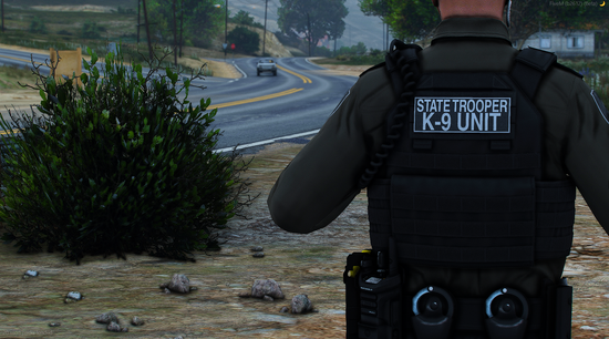 State Trooper Uniform and Livery Collection – Luca Designs